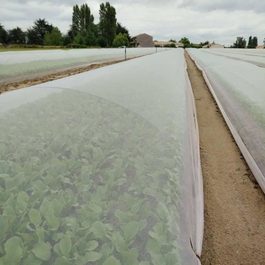 Filet anti-insectes F520 - Mouches, pucerons, drosophiles - DIATEX